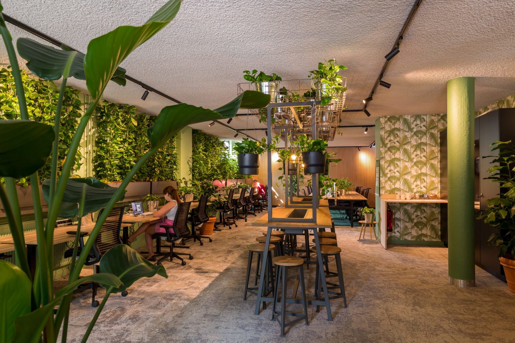 Participation projects - Horeca Development